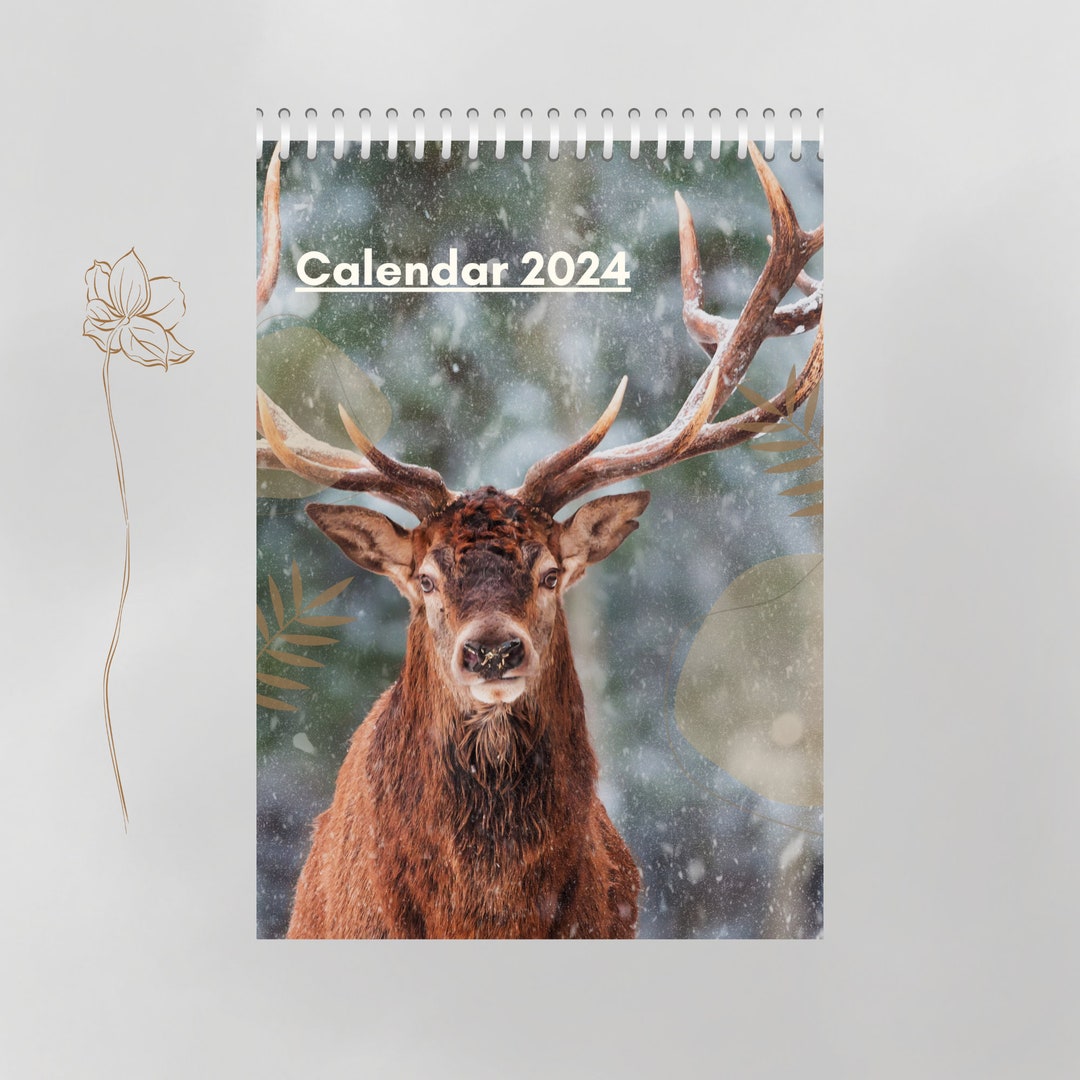 2024 Whimsical Woodland Animal Desk Calendar Art Calendar - Etsy UK