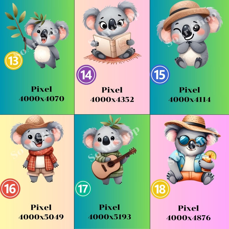 Koala Clipart: Australian PNG Graphics (digital Download - Etsy