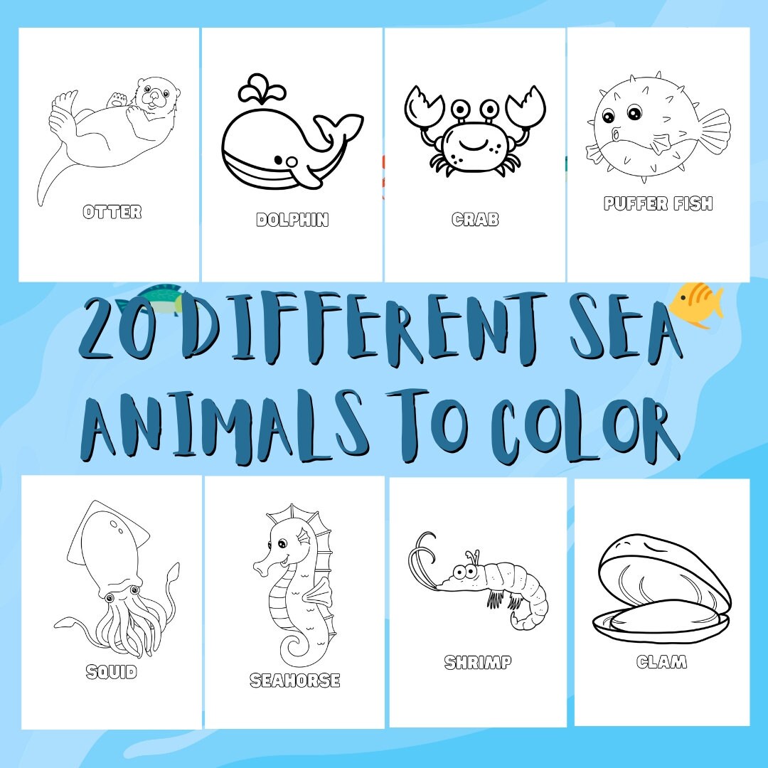 Sea Animals Coloring Book Coloring Book for Kids Coloring Book Sea ...