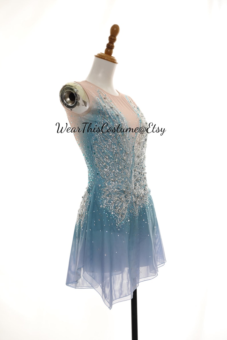 BLUE Customized Dress/ Costume/ Figure Skating/ Ice Dance/ Ice Skate ...