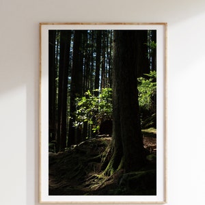 Pacific Northwest Art I Forest Scene I PNW Photography I Vancouver ...