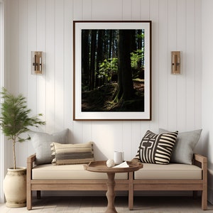 Pacific Northwest Art I Forest Scene I PNW Photography I Vancouver ...