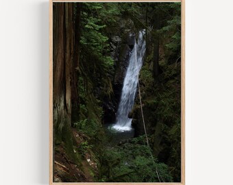 Pacific Northwest Art I Forest Scene I PNW Photography I Vancouver ...