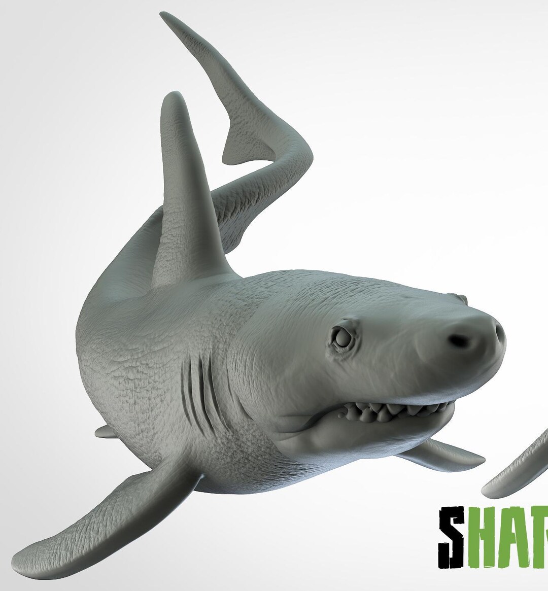 Shark Sea Creature Miniature - Diorama, Dungeons and Dragons, Fish, Sea ...