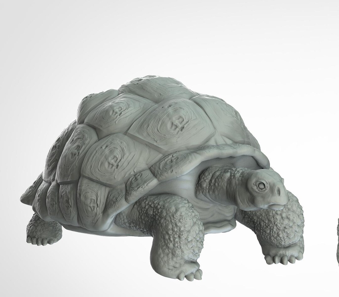 Giant Turtle Sea Miniature, Diorama, Dungeons and Dragons, Sea Creature ...