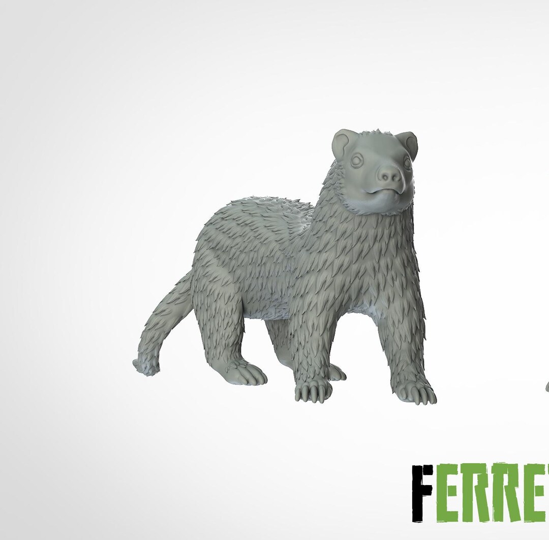 Ferret Animal Miniature, Diorama, Dungeons and Dragons, Jungle, Farm ...
