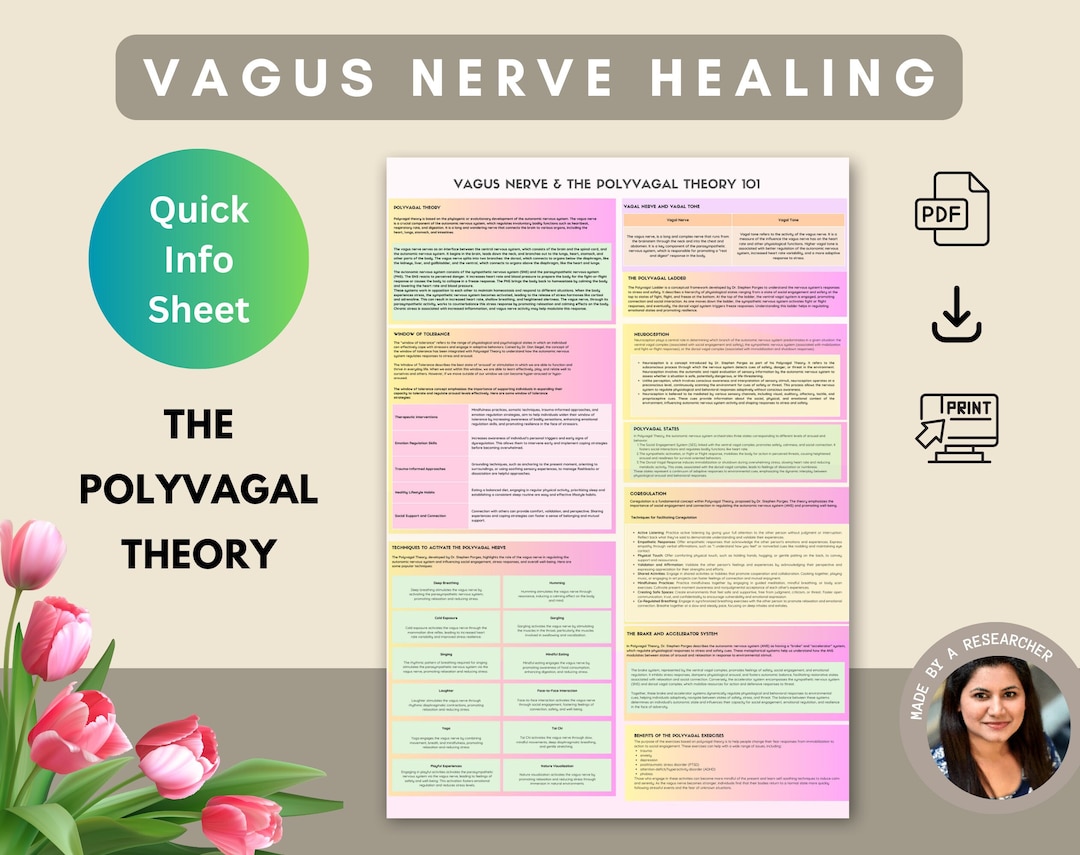 Polyvagal Theory Vagus Nerve 101, Nervous System Regulation, Window of ...