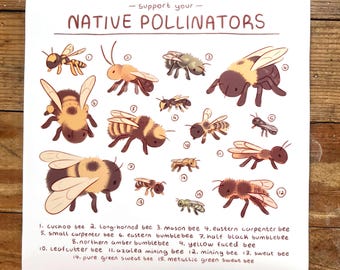 Native Pollinators - Digital Download - Etsy