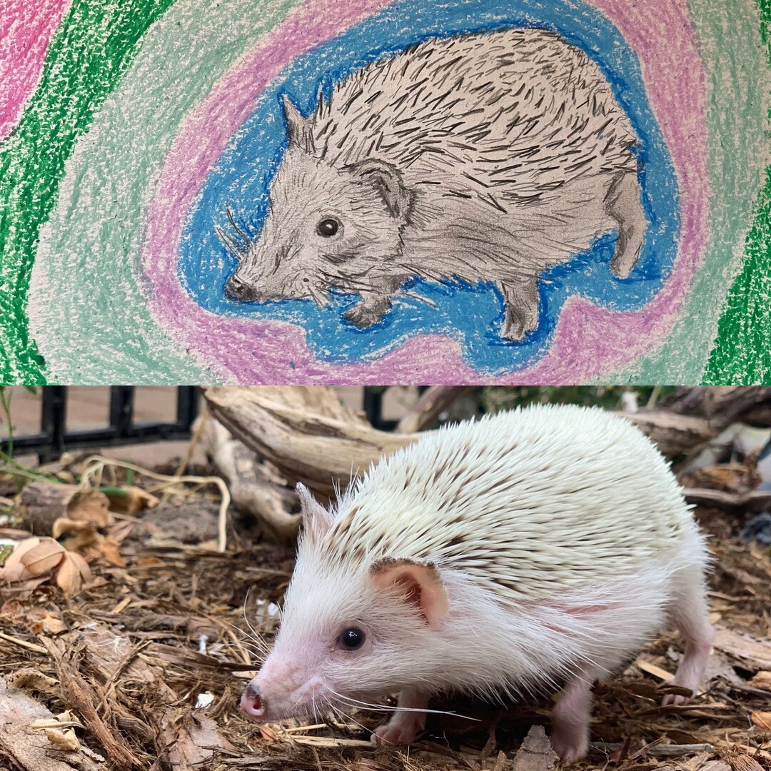 Personalized Pet Portraits, Any Animals. Done on High Quality Paper ...
