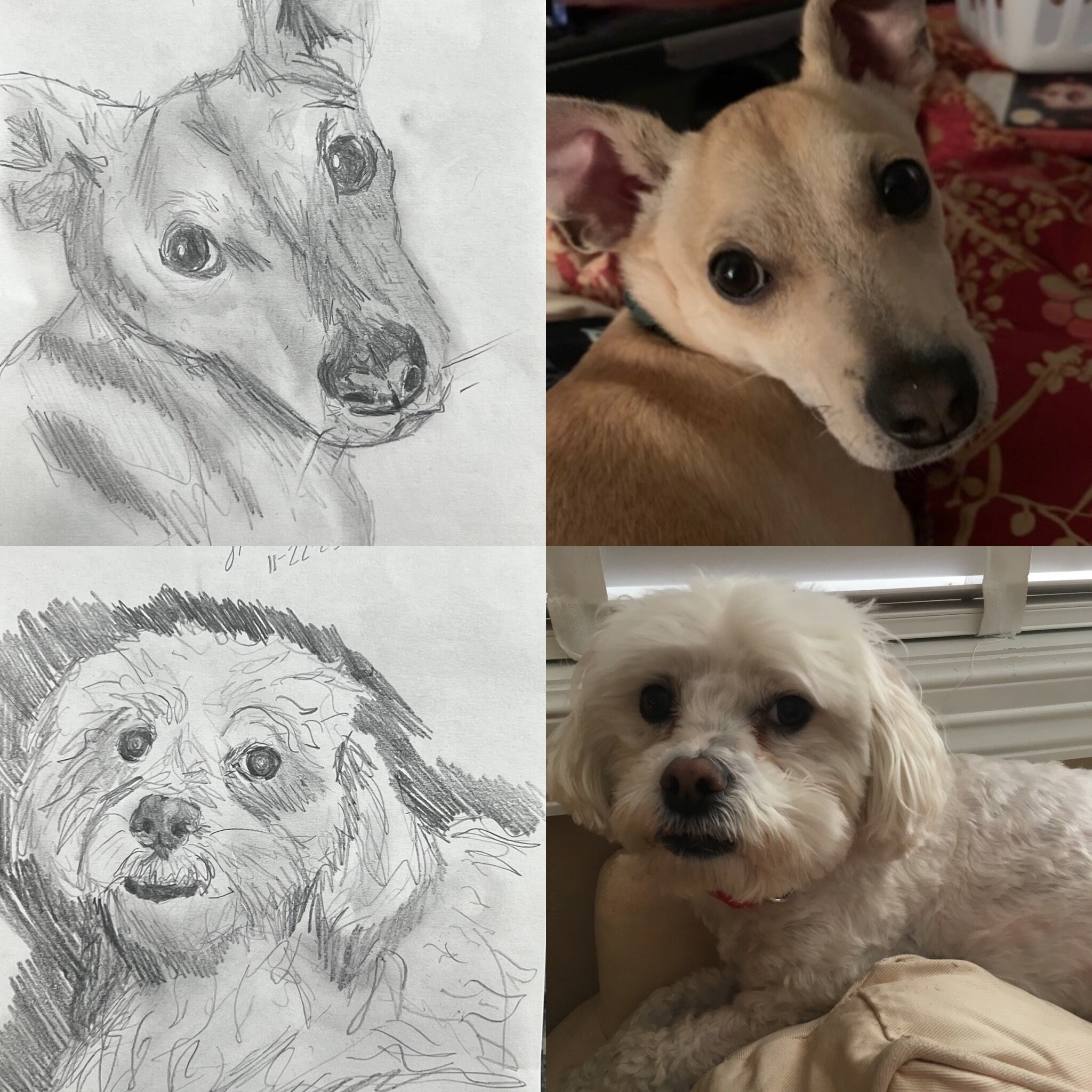 Personalized Pet Portraits, Any Animals. Done on High Quality Paper ...
