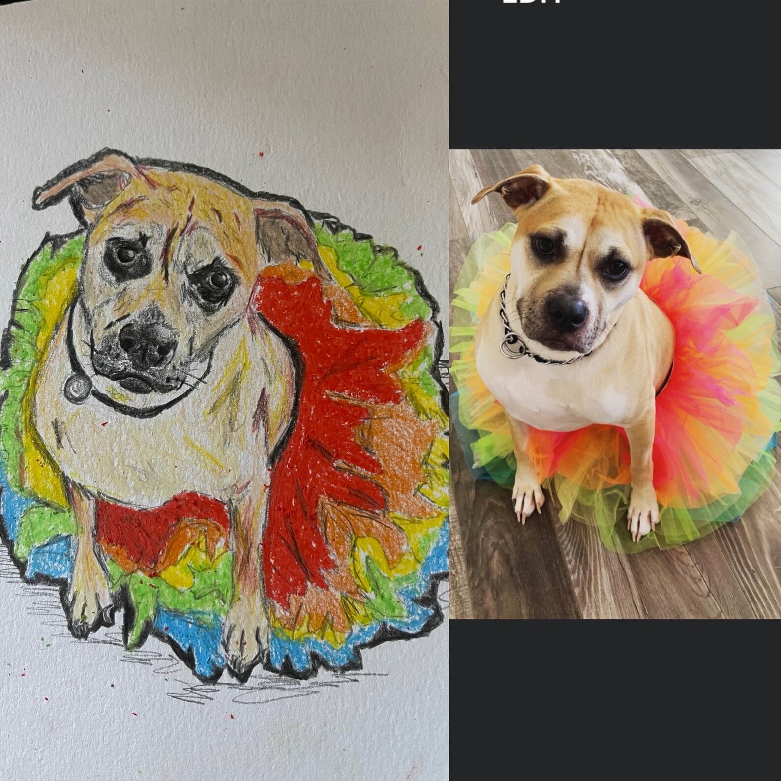 Personalized Pet Portraits, Any Animals. Done on High Quality Paper ...