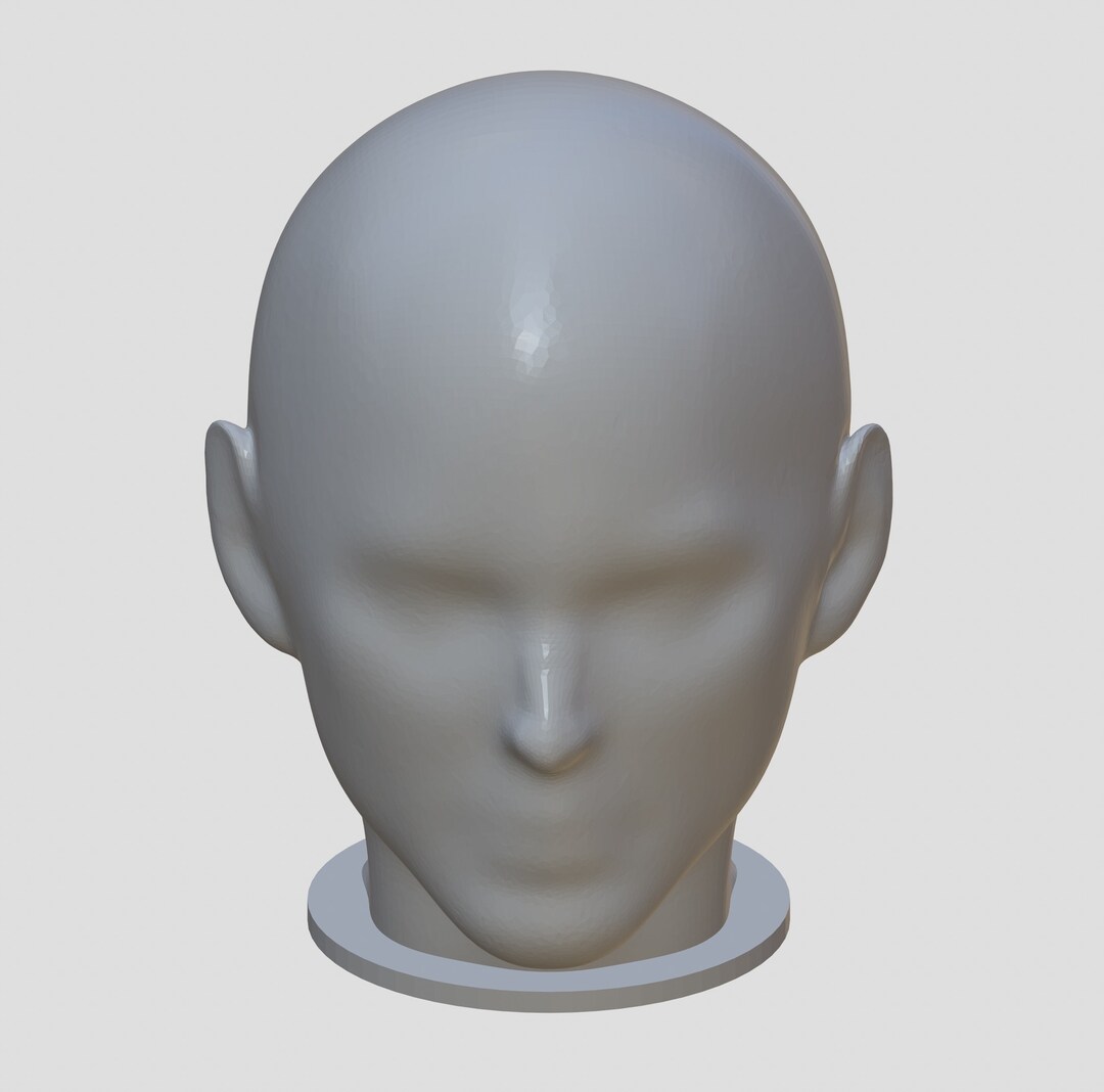 Human Head - Human Head Mannequin - Digital 3D - Etsy