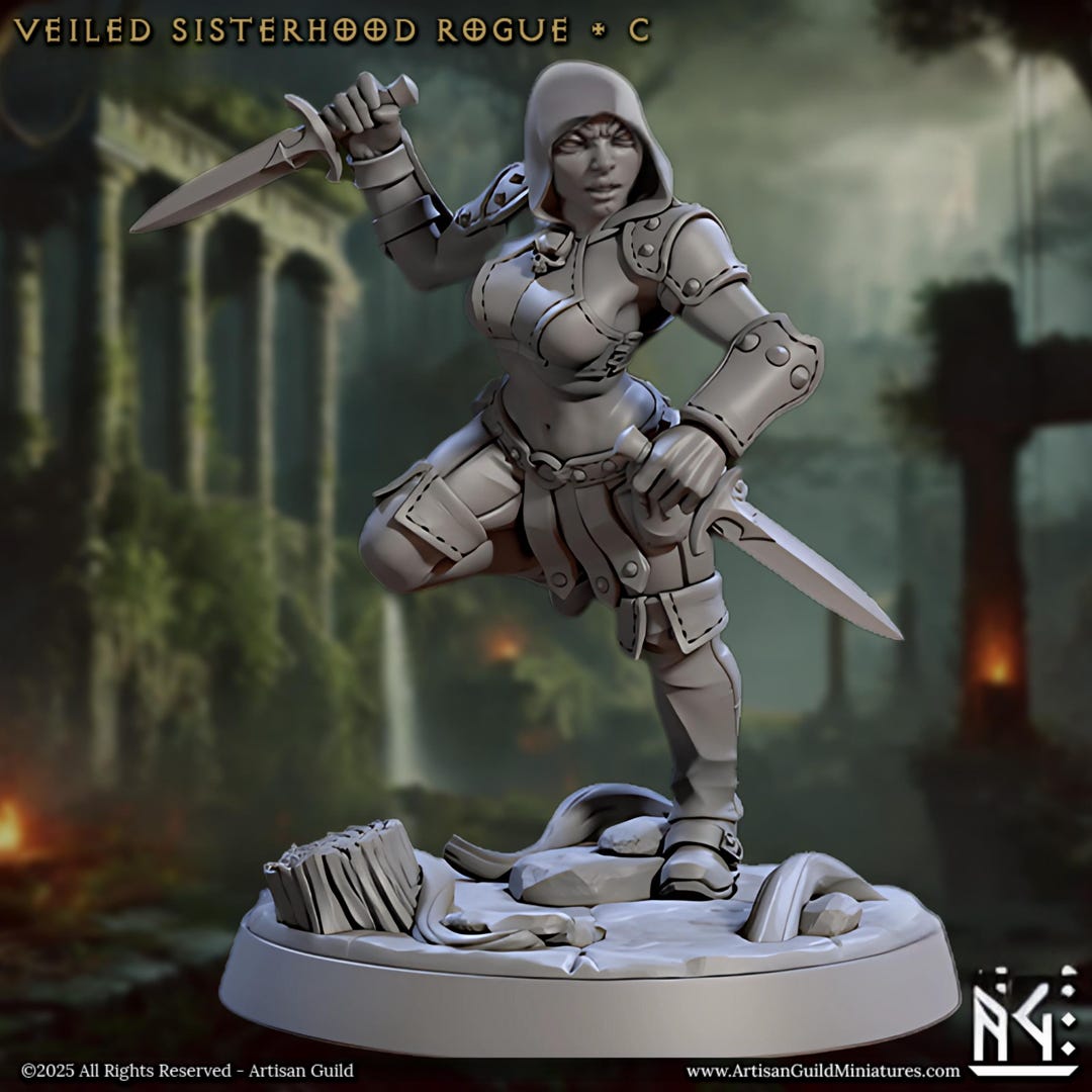Veiled Sisterhood Rogue C V2 - Fantasy Creature Miniature for RPG Adventures and Tactical ...