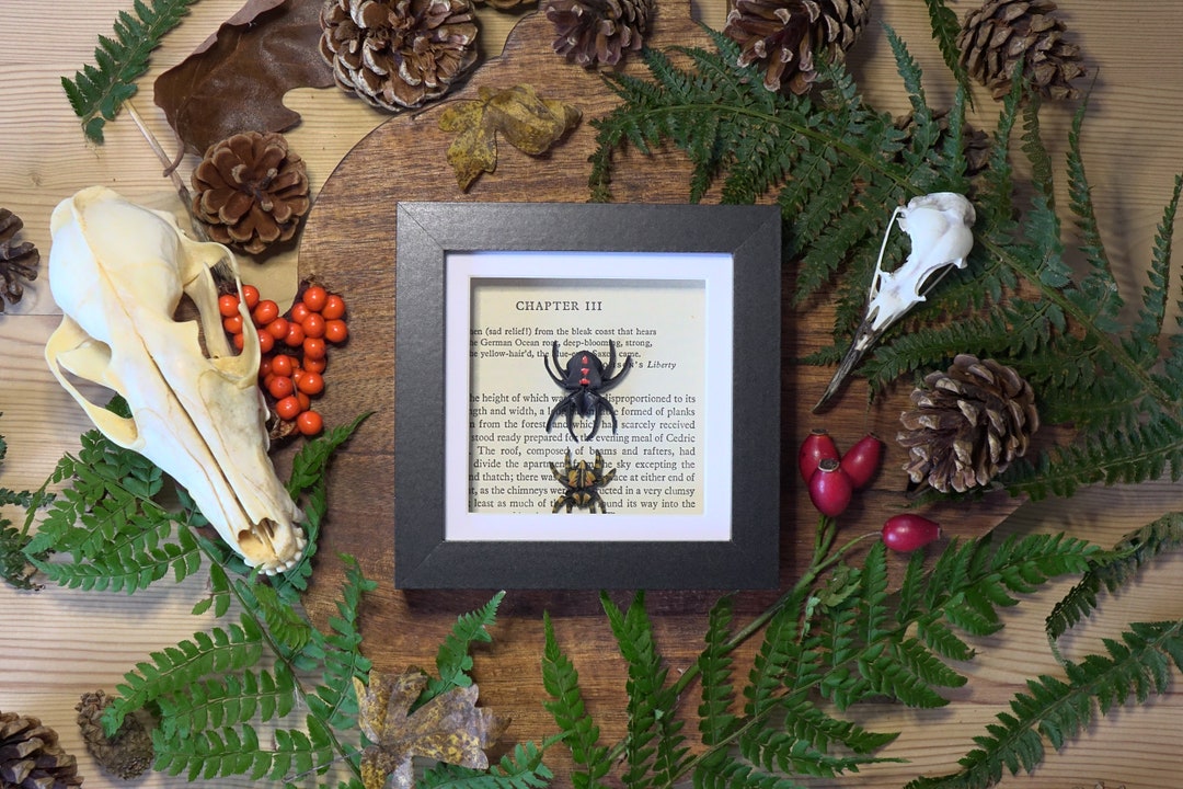 Origami Spiders Vegan Taxidermy (black) - Etsy UK