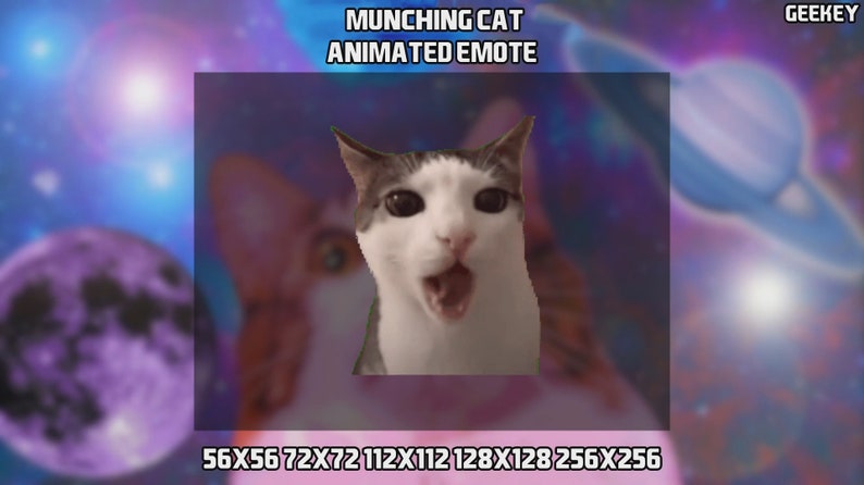 Munching Cat Animated Emote for Twitch, Youtube and Discord Meme Cat ...