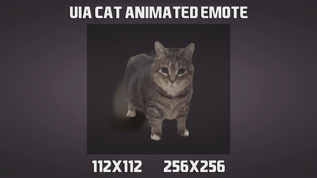 U I a Cat Meme Animated Emote for Twitch, Youtube and Discord - Meme ...
