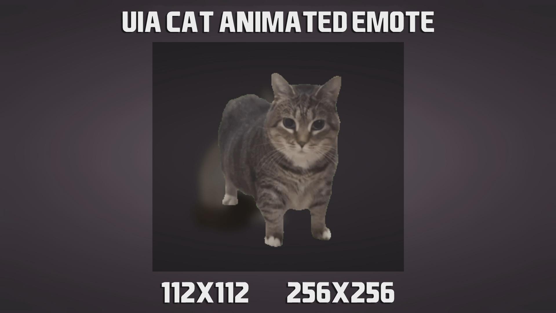 U I a Cat Meme Animated Emote for Twitch, Youtube and Discord - Meme Cat - UIA CAT - Animated ...