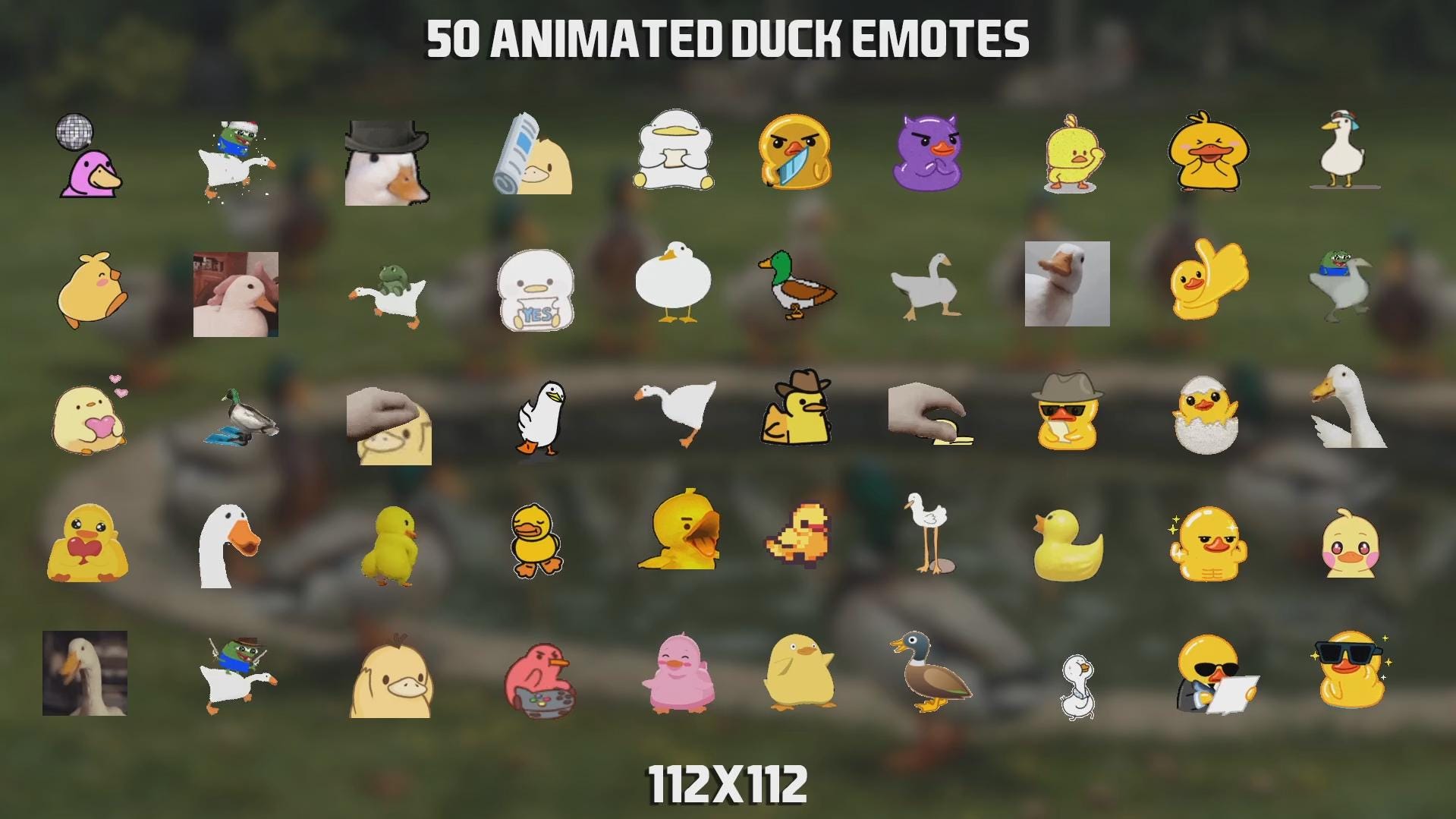 50 Animated Duck Emotes Pack for Twitch, Kick, Youtube and Discord ...