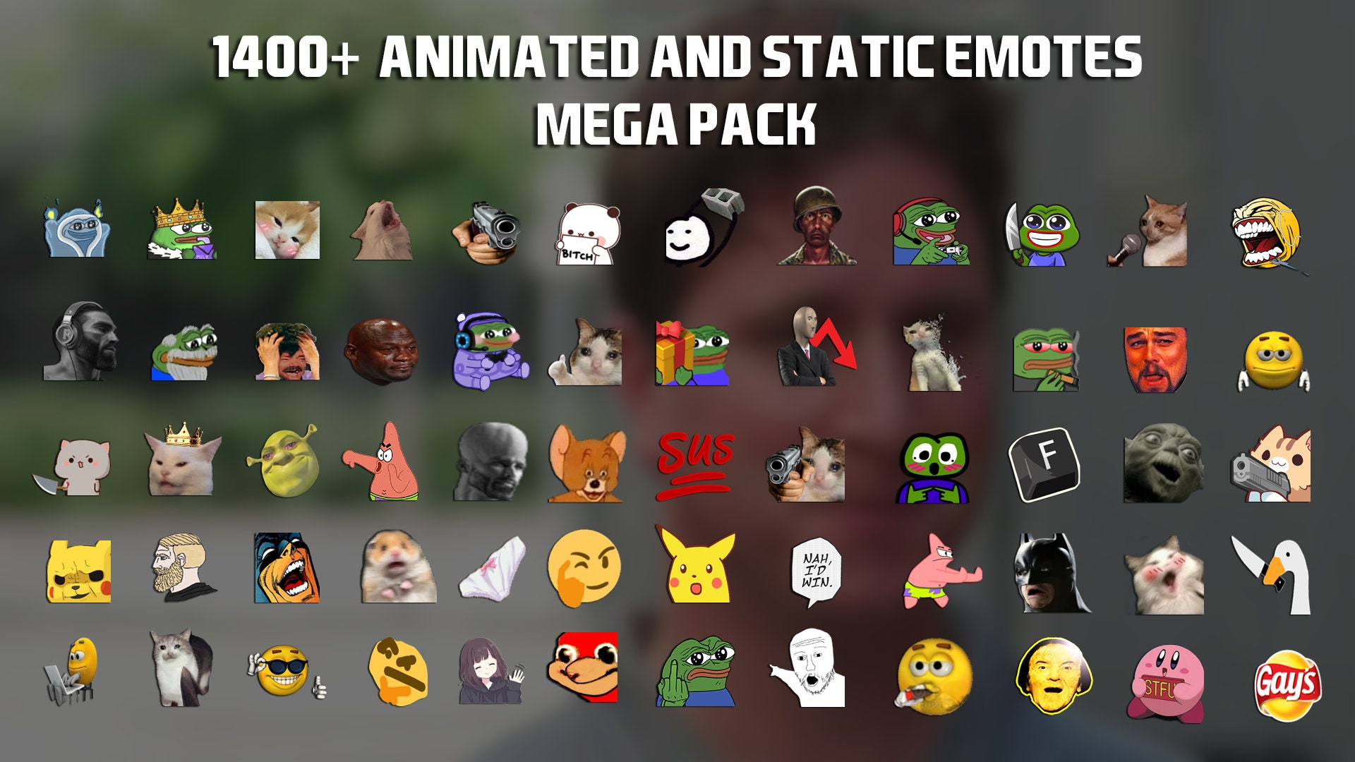 1400+ Animated and Static Emotes Mega Pack for Twitch, Kick, Youtube ...