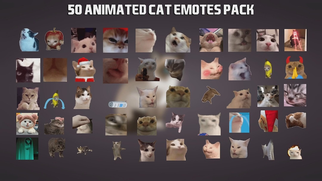 50 Animated Cat Emotes Pack for Twitch, Youtube and Discord - Cat ...