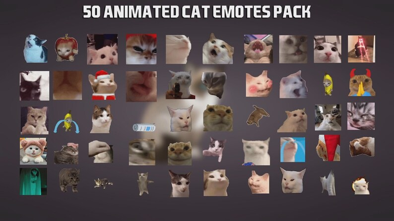 50 Animated Cat Emotes Pack for Twitch, Youtube and Discord Cat ...