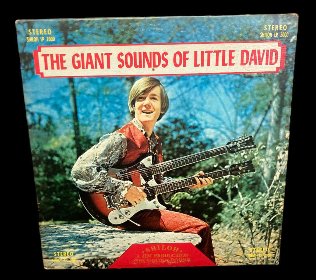 David Smith the Giant Sounds of Little David Vinyl LP 33 RPM - Etsy