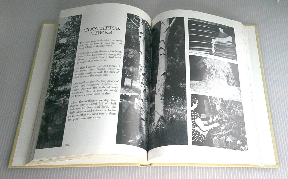 BOOK Childcraft: the How and Why Library Volume 7, How We Get Things ...