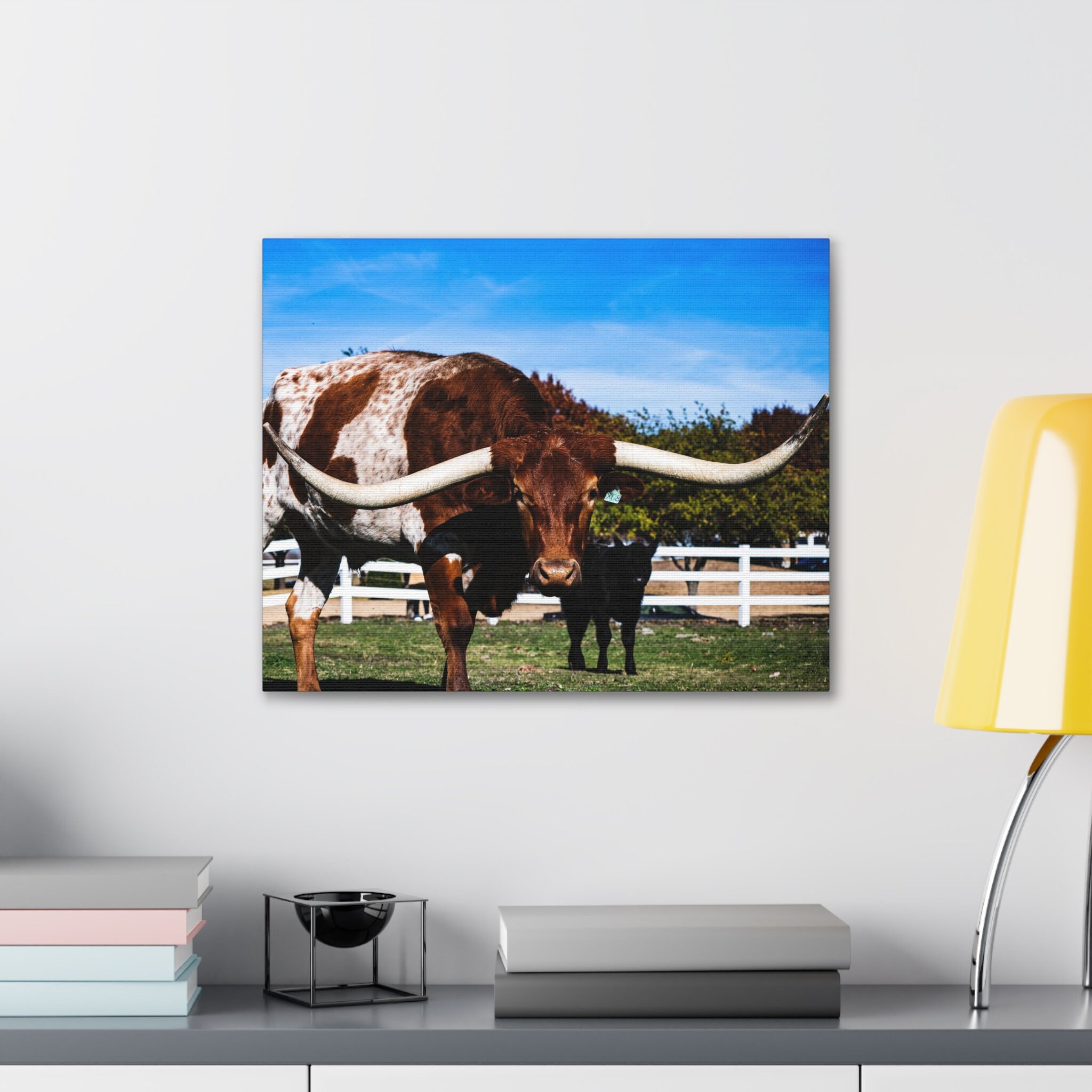 Longhorn Cattle in Texas - Photography Canvas Gallery Wraps - Etsy
