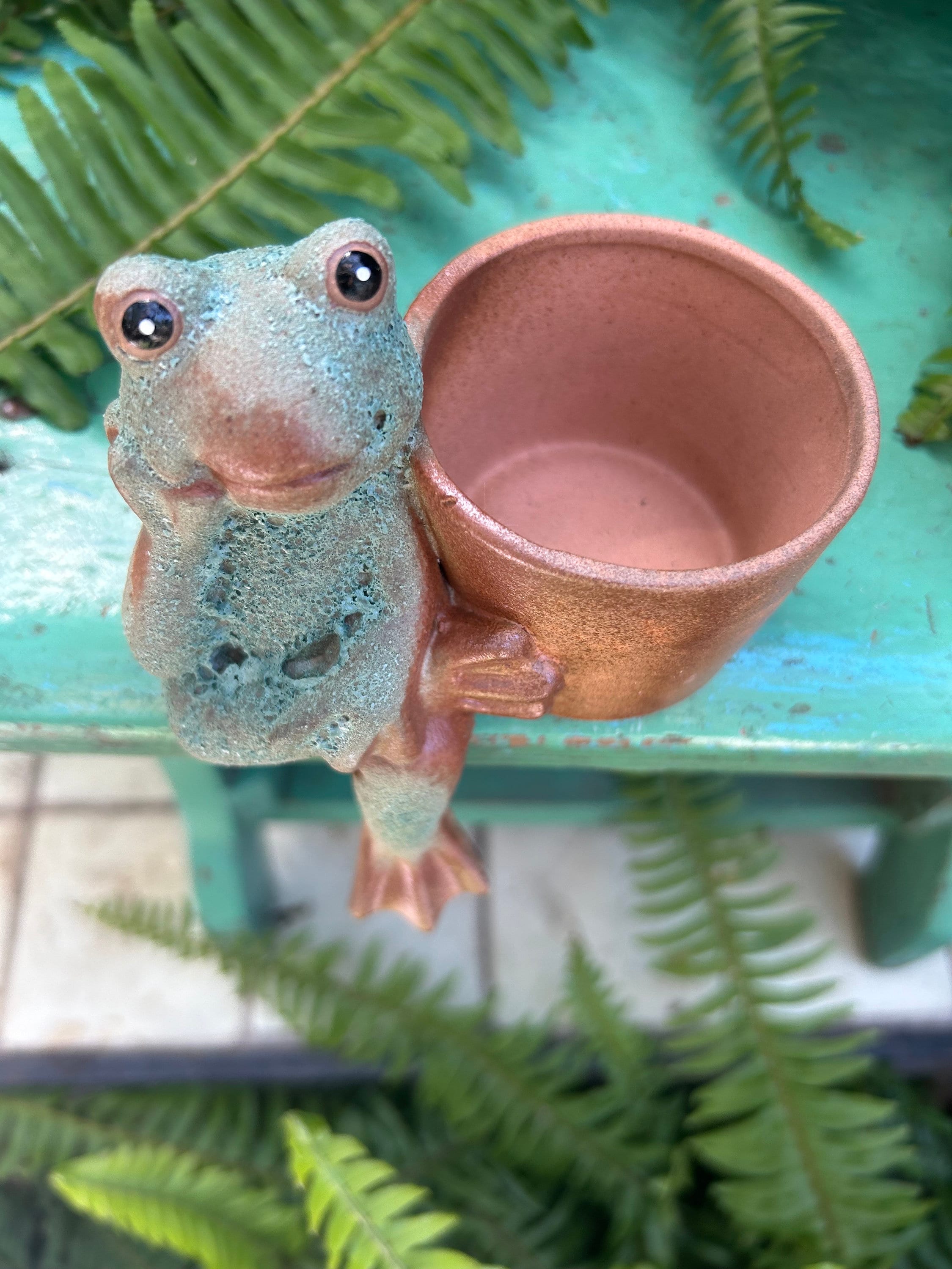 Mini Frog Pot Set of 2 - Etsy