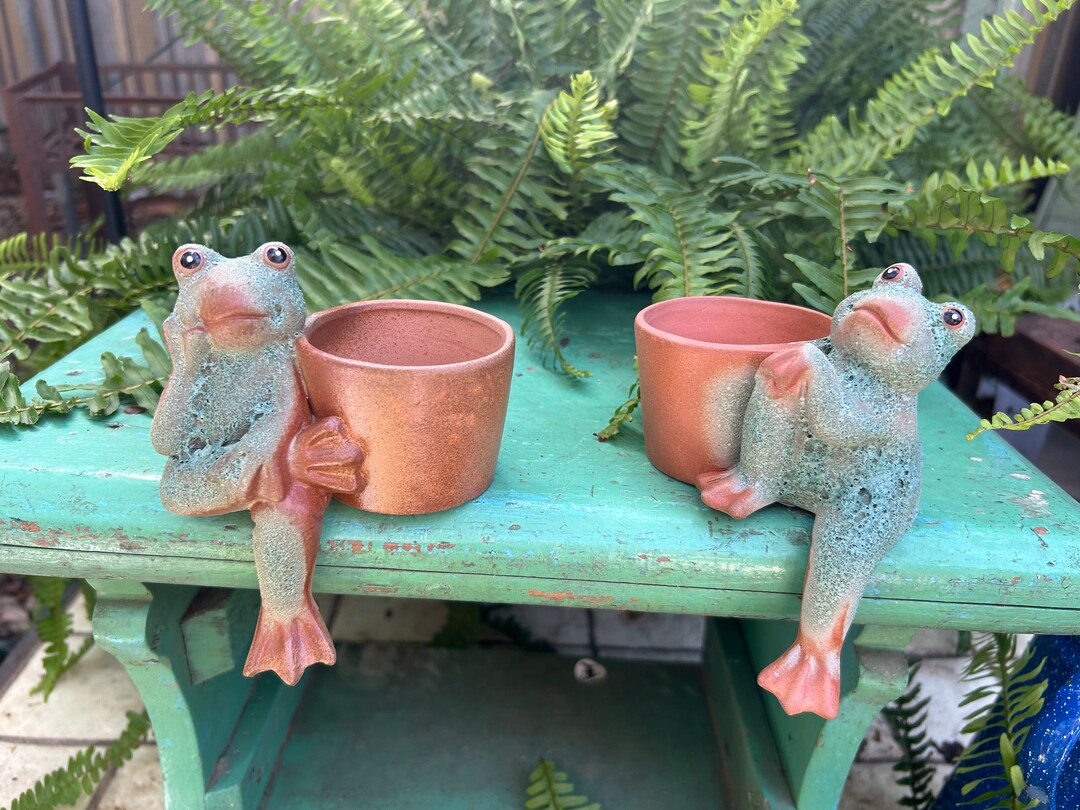 Mini Frog Pot Set of 2 - Etsy