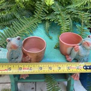 Mini Frog Pot Set of 2 - Etsy