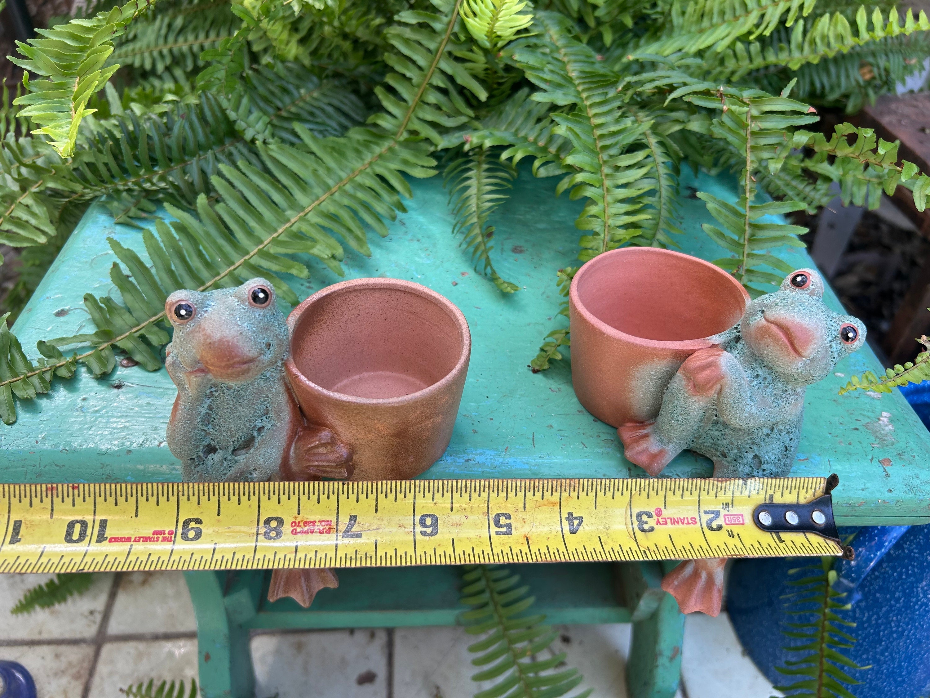 Mini Frog Pot Set of 2 - Etsy