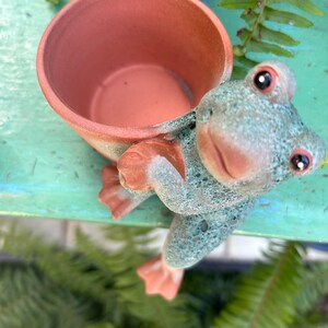 Mini Frog Pot Set of 2 - Etsy