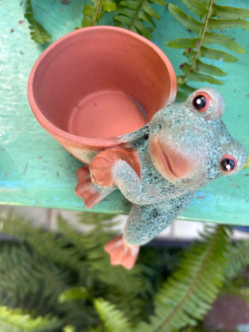 Mini Frog Pot Set of 2 - Etsy
