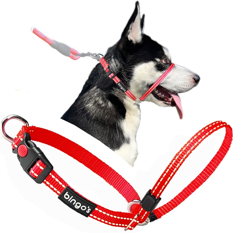 Bingos Head Collar Stops Pulling, Adjustable No Pull Training Collar ...