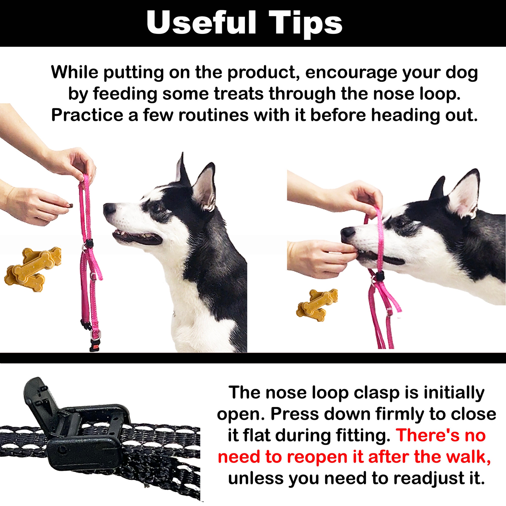 Bingo’s Head Collar No Pull Halter, Adjustable Training Collar to Stop ...