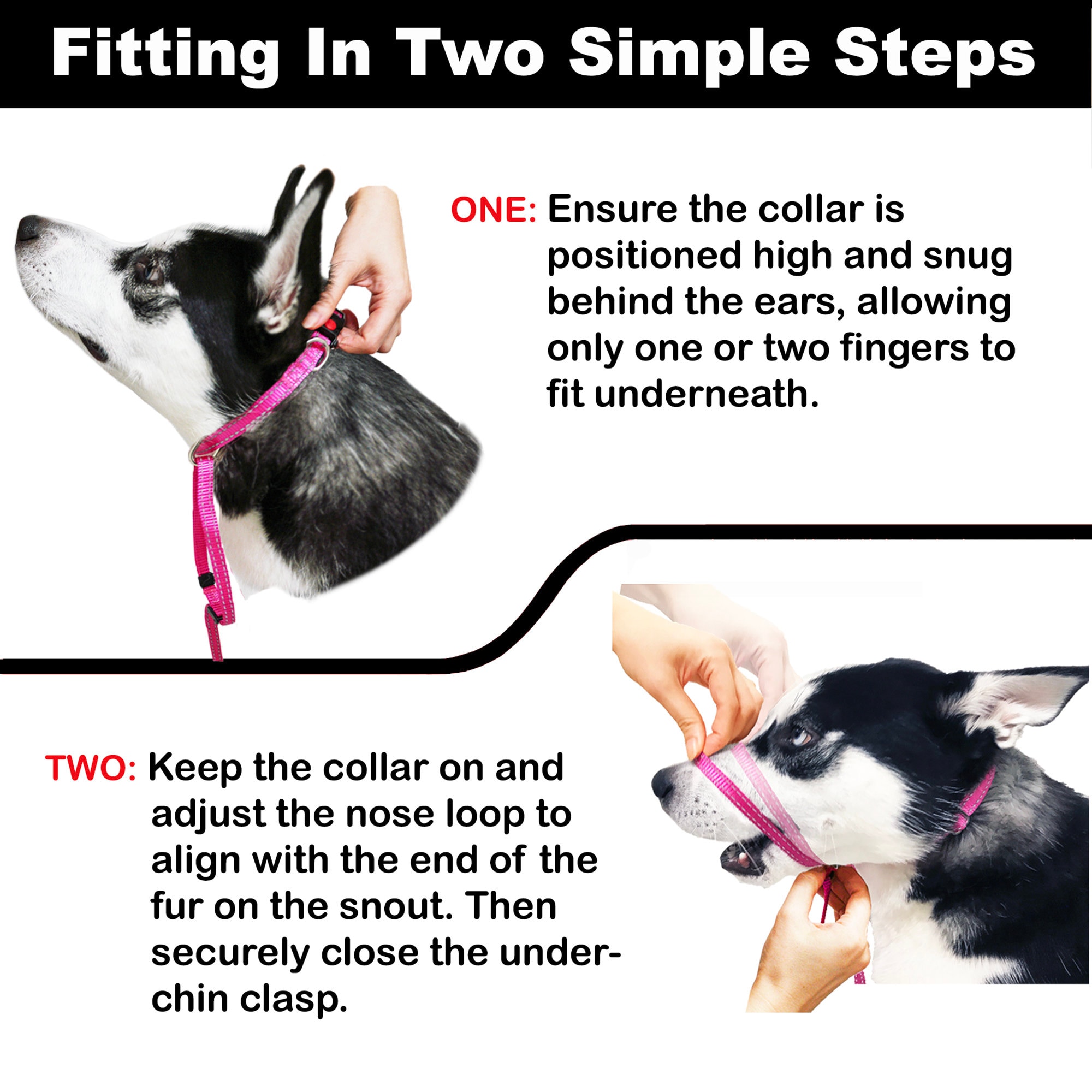 Bingo’s Head Collar No Pull Halter, Adjustable Training Collar to Stop ...