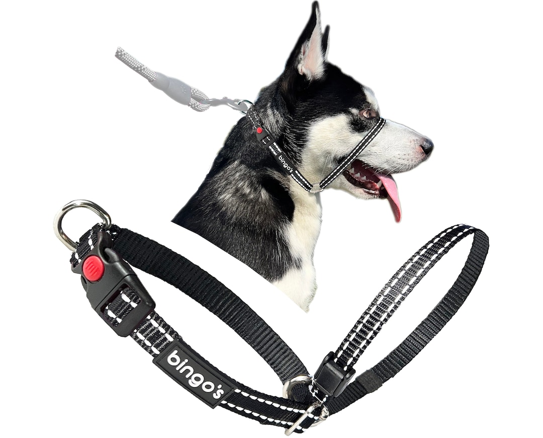 Bingo’s Head Collar Gentle Lead Stops Pulling, Adjustable No Pull ...