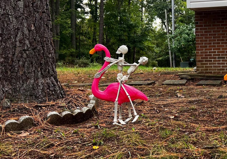 Skeleton Riding Flamingo, Halloween Flamingo , Unique Skeleton ...