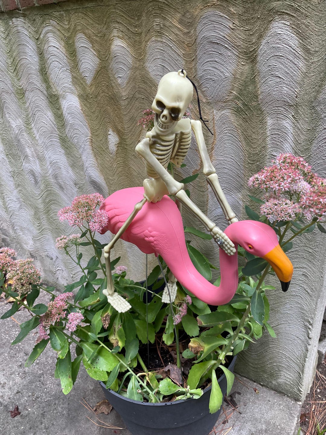 Skeleton Riding Flamingo, Halloween Flamingo , Unique Skeleton ...
