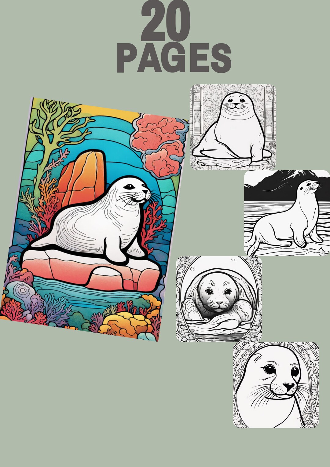 20 Seal Coloring Book Pages, Coloring Book for Kids, Coloring Book for ...