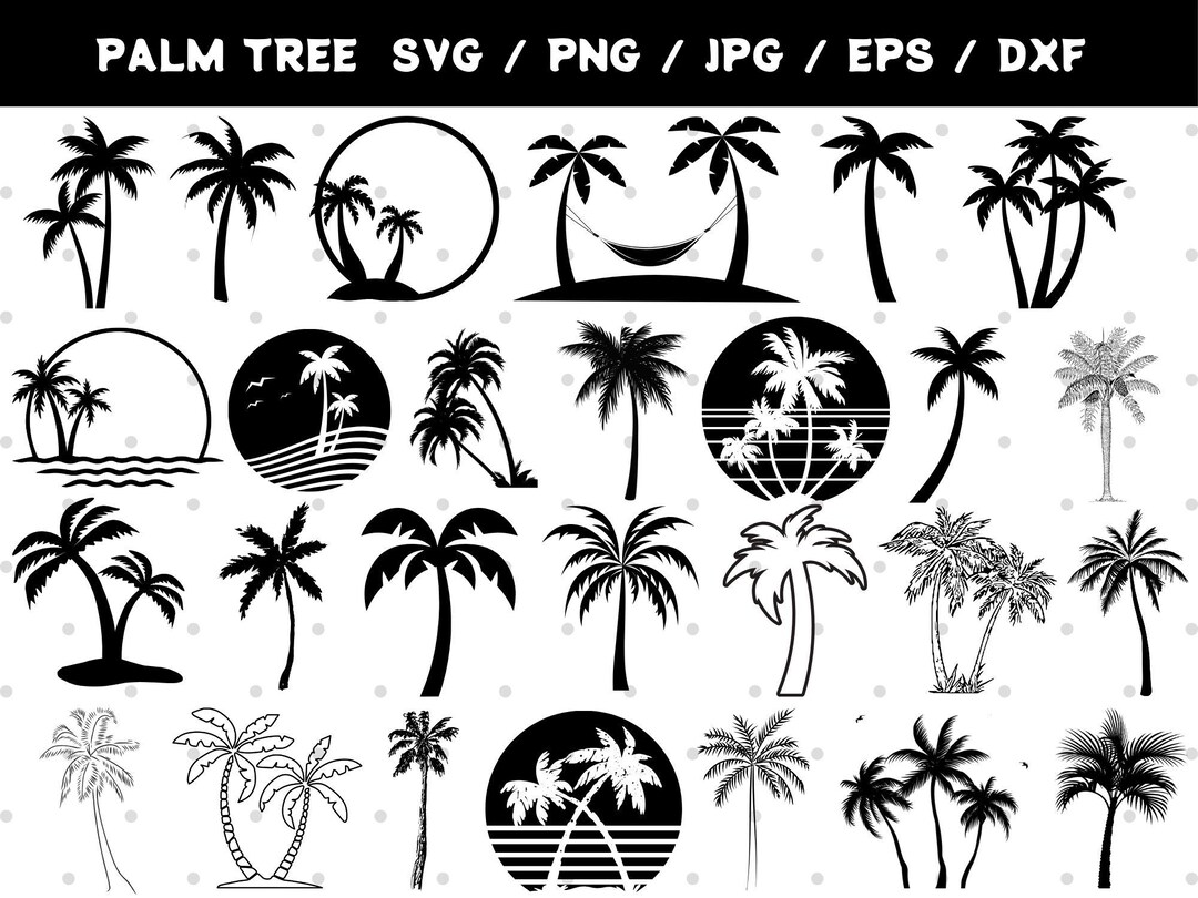 Palm Tree SVG Bundle - Palm Tree PNG Bundle - Palm Tree Clipart - Palm ...