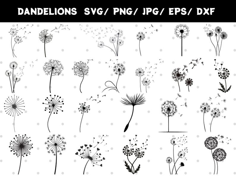 Dandelion Svg Bundle, Dandelion Svg, Cut Files for Cricut, Silhouette ...