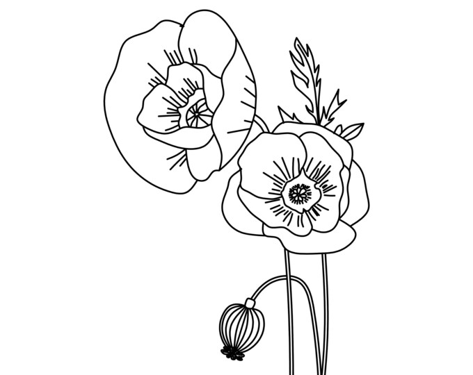 Poppy Line Drawing Unique Flower Art Hand Drawn Art Digital Download ...