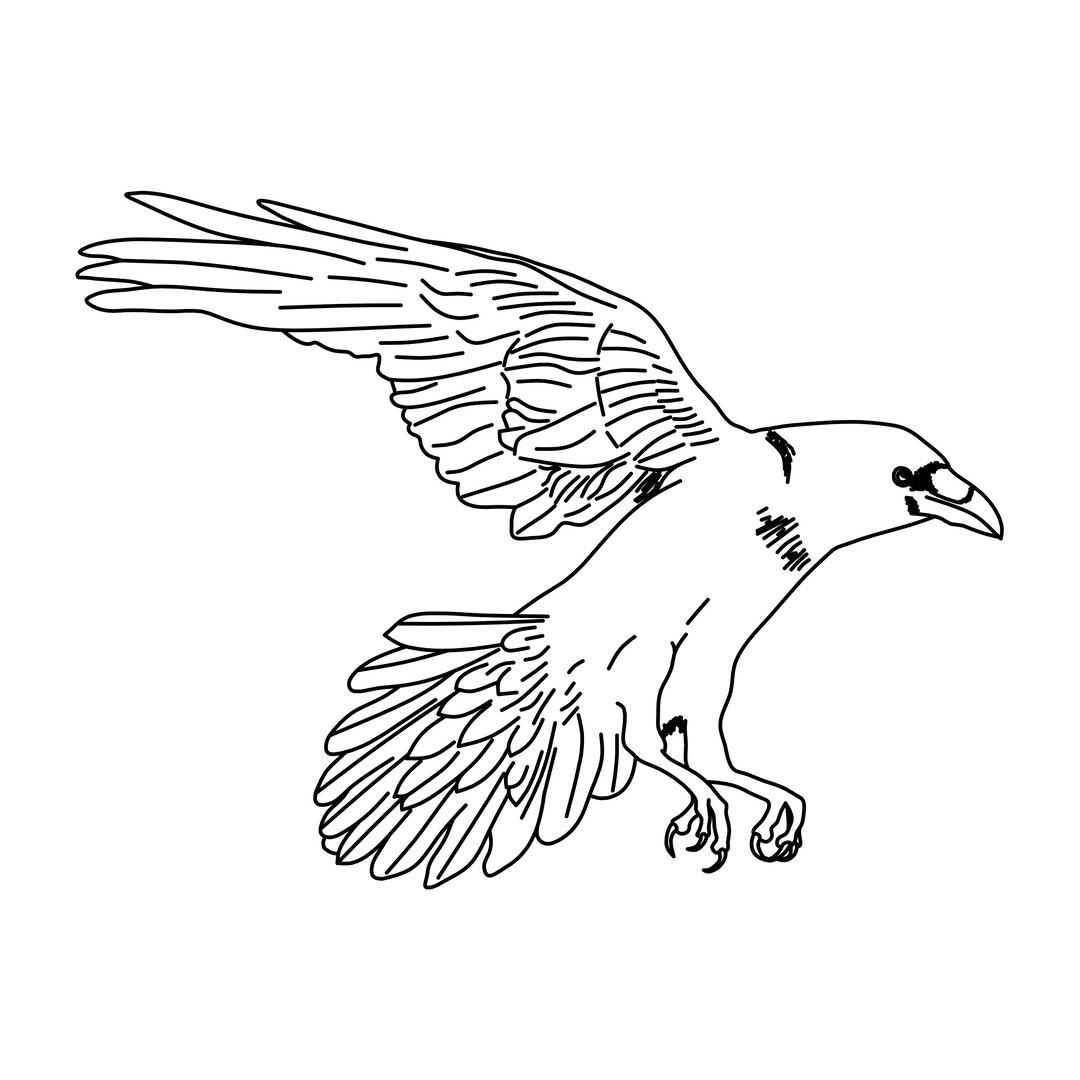 Raven Line Drawing Crow Line Drawing Unique Animal Art Digital Download ...