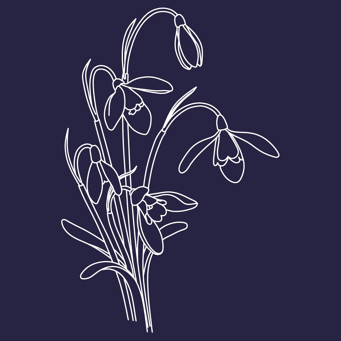 Snowdrops Line Drawing Unique Flower Art Hand Drawn Art Digital ...