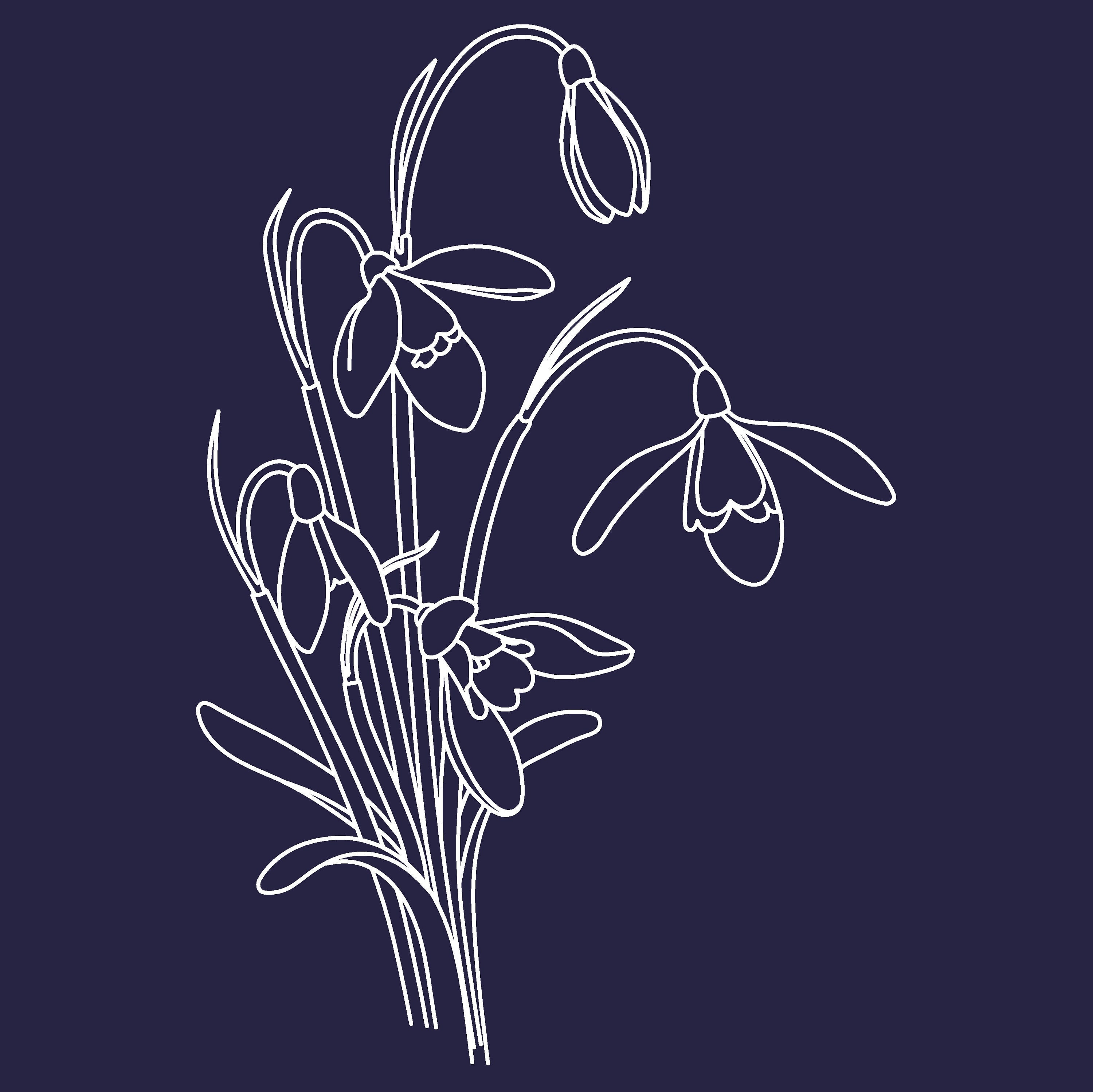 Snowdrops Line Drawing Unique Flower Art Hand Drawn Art Digital ...