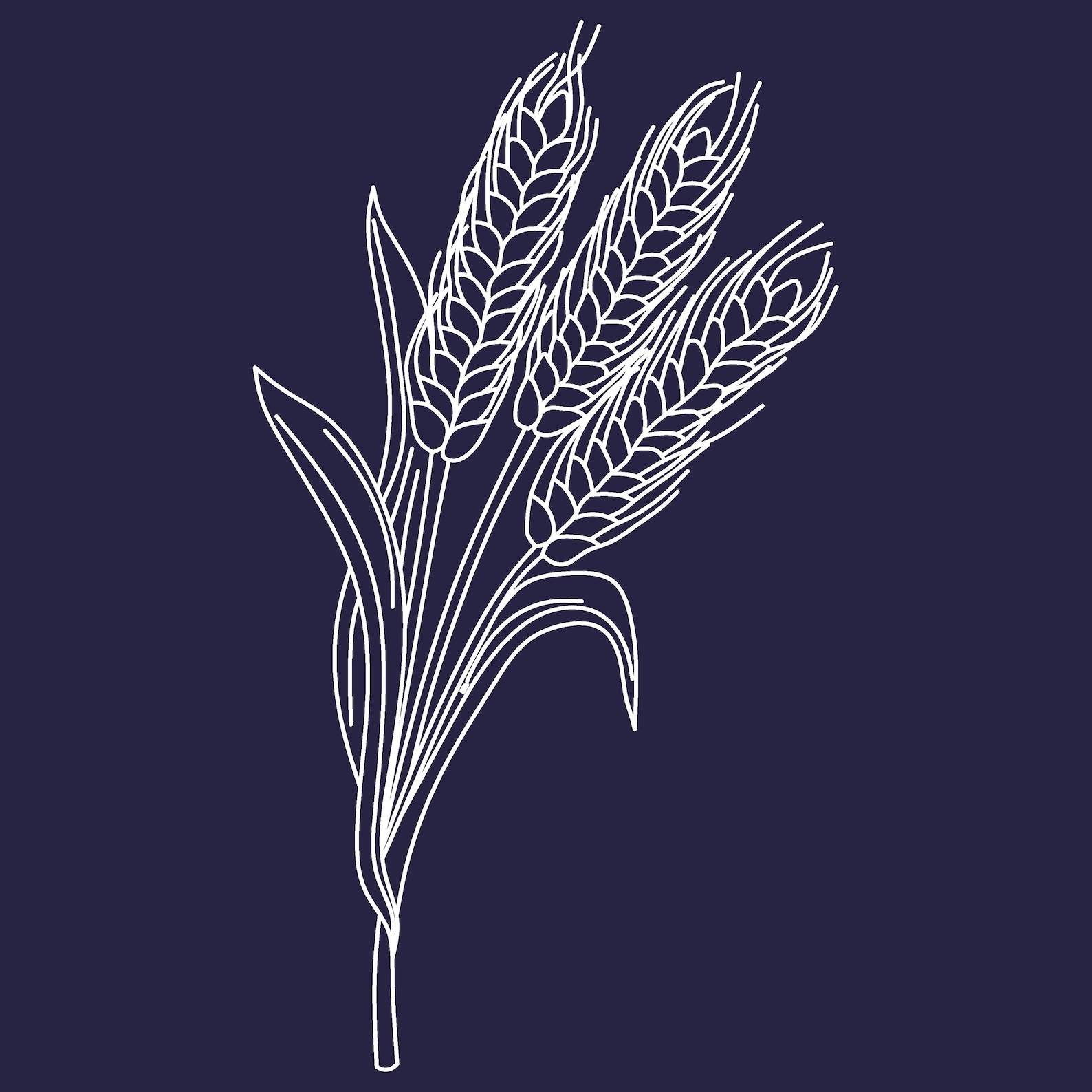 Wheat Line Drawing Wheat Sheaf Unique Plant Art Hand Drawn Digital ...