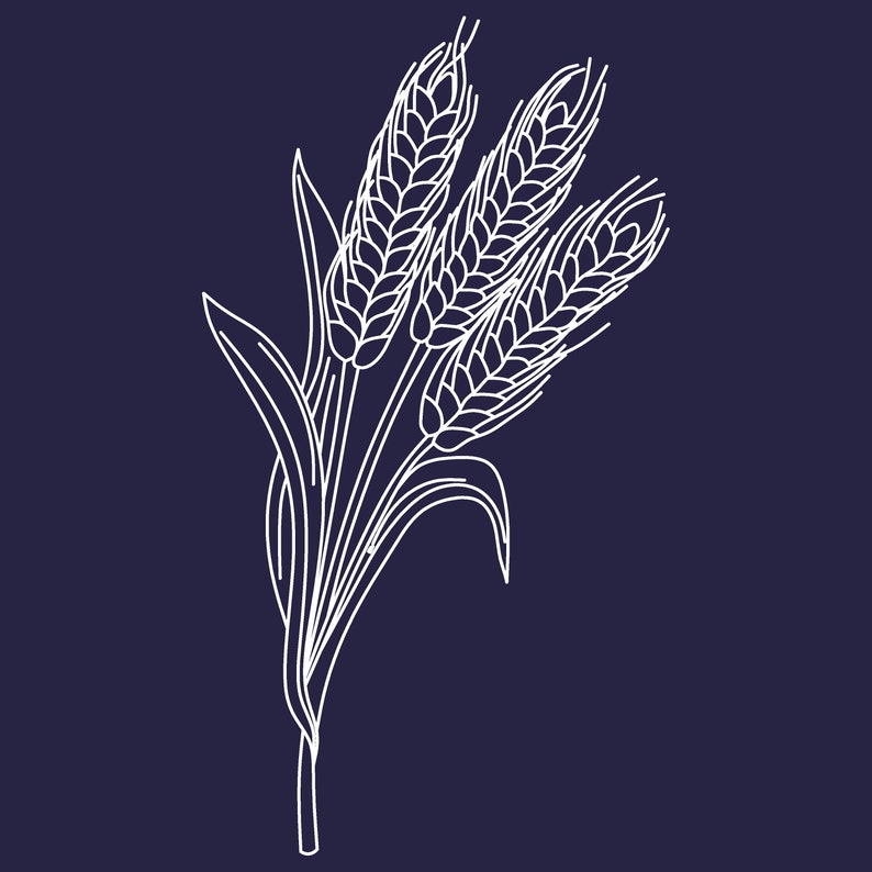 Wheat Line Drawing Wheat Sheaf Unique Plant Art Hand Drawn Digital ...