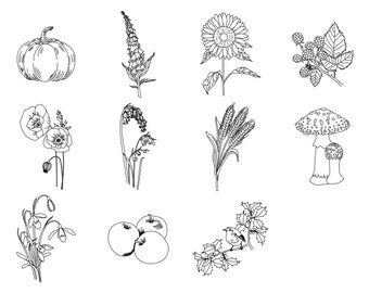 Wheat Line Drawing Wheat Sheaf Unique Plant Art Hand Drawn Digital ...